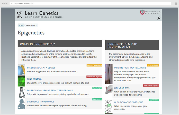 Epigenetics | Epigenetic Analysis Tools