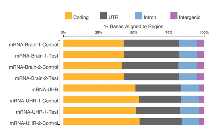 mRNA sequencing | A comprehensive view of the coding transcriptome