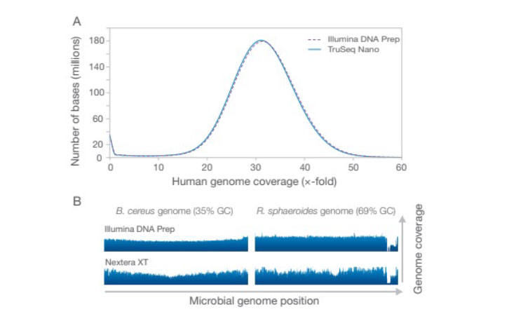 Illumina DNA Prep | Flexibility for many whole-genome sequencing ...