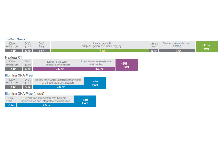 Illumina DNA Prep | Flexibility for many whole-genome sequencing ...