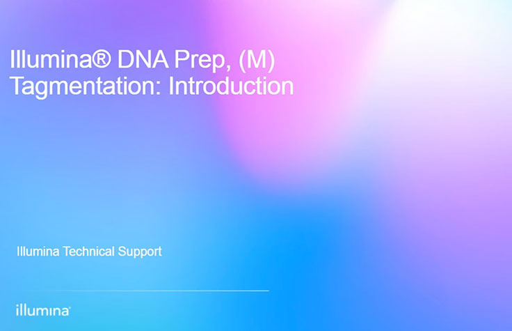 Illumina DNA Prep | Flexibility for many whole-genome sequencing ...